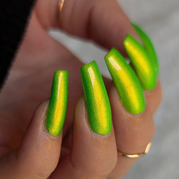 Behind Again | Rainbow Connection