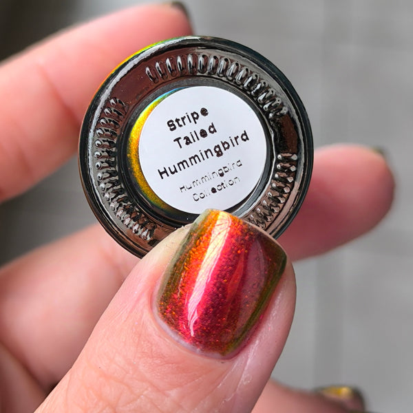 Stripe Tailed Hummingbird (Ships early Dec) | Rainbow Connection