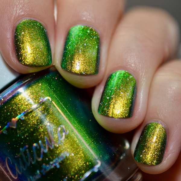 Multichromes | Rainbow Connection