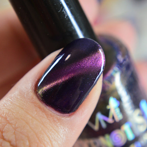 Glamourisa | Rainbow Connection