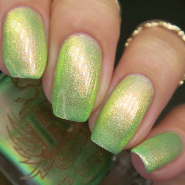 New In Store! Page 4| Rainbow Connection