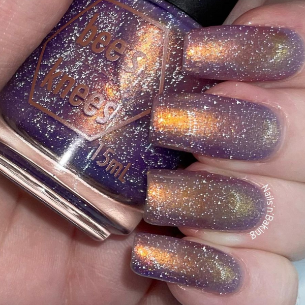 Go Home | Rainbow Connection