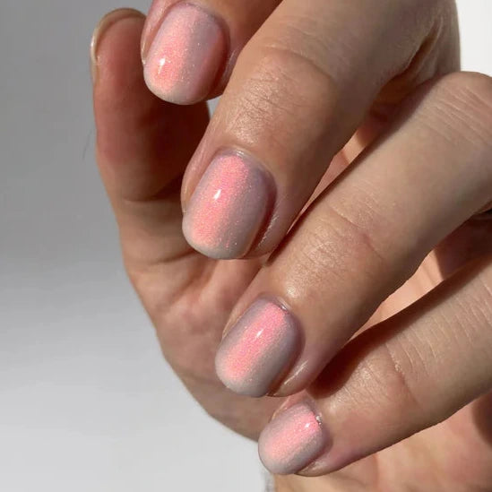 Lychee | Rainbow Connection