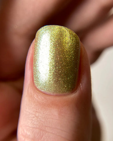 Mooncat | Rainbow Connection