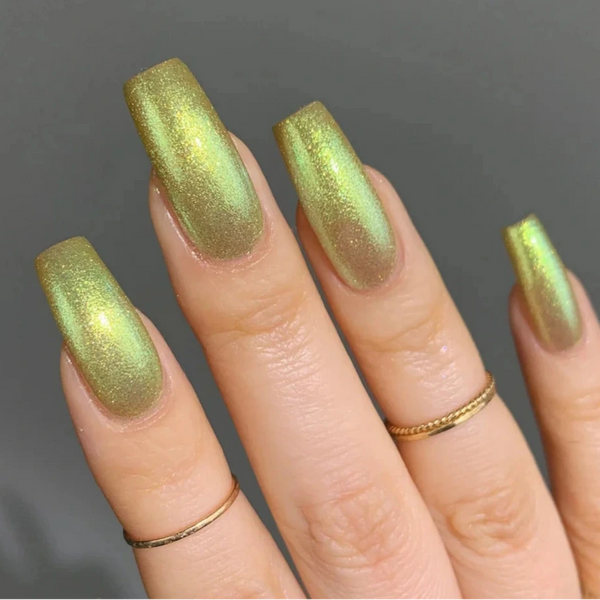 Mooncat | Rainbow Connection