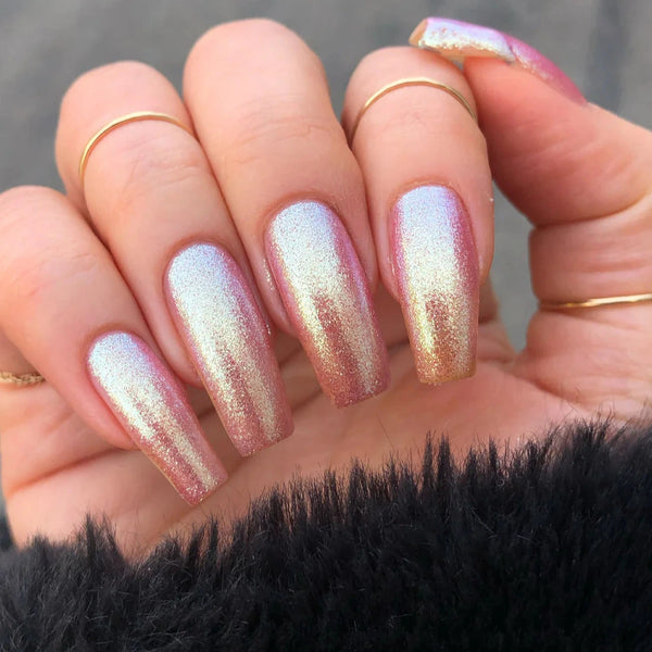 Mooncat | Rainbow Connection