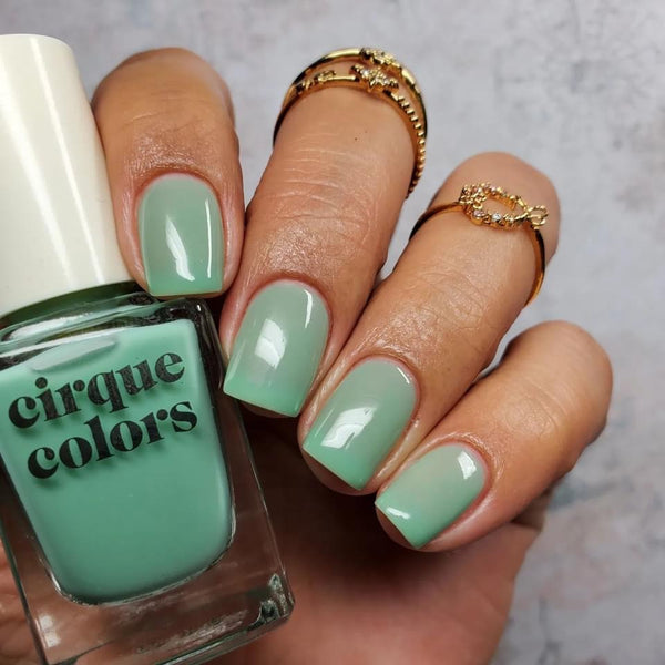 Jade Jelly | Rainbow Connection